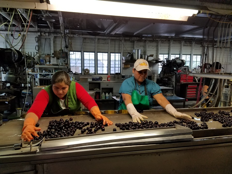 5 Ways to Increase Food Processing Plant Efficiency 5 Ways to Increase Food Processing Plant Efficiency